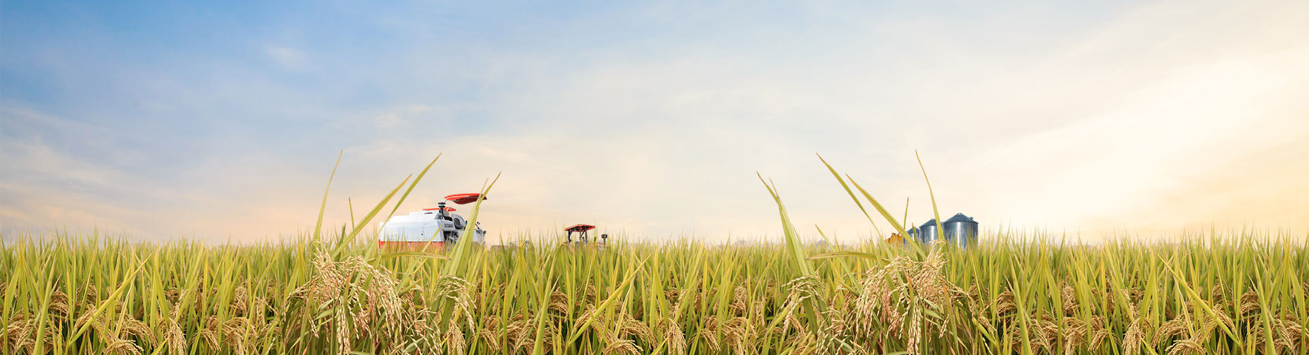 FarmOn Agri-Community Corp.